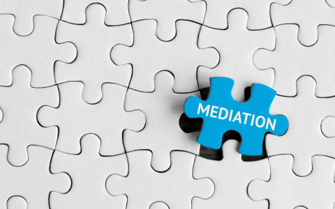 Workplace Mediation Process: What Is It, Tips, Techniques, and FAQs | E ...